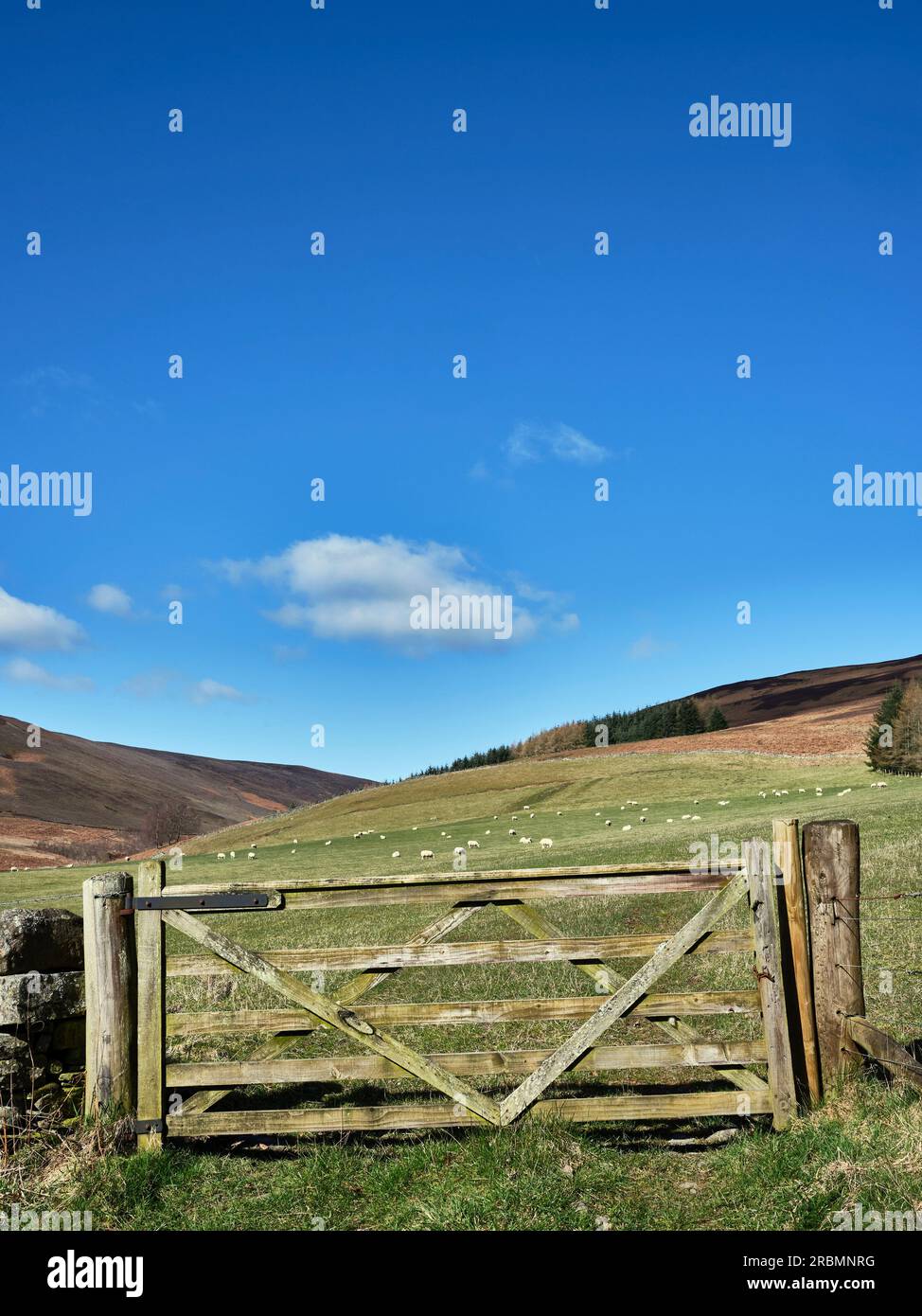 White wooden gate hi-res stock photography and images - Alamy