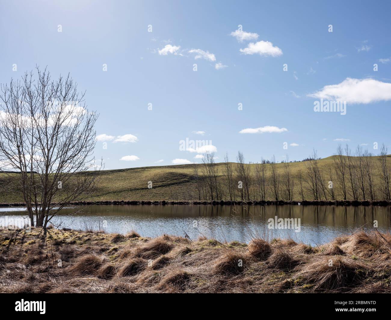Reservoir on walk on Philiphaugh Estate by Selkirk Stock Photo - Alamy