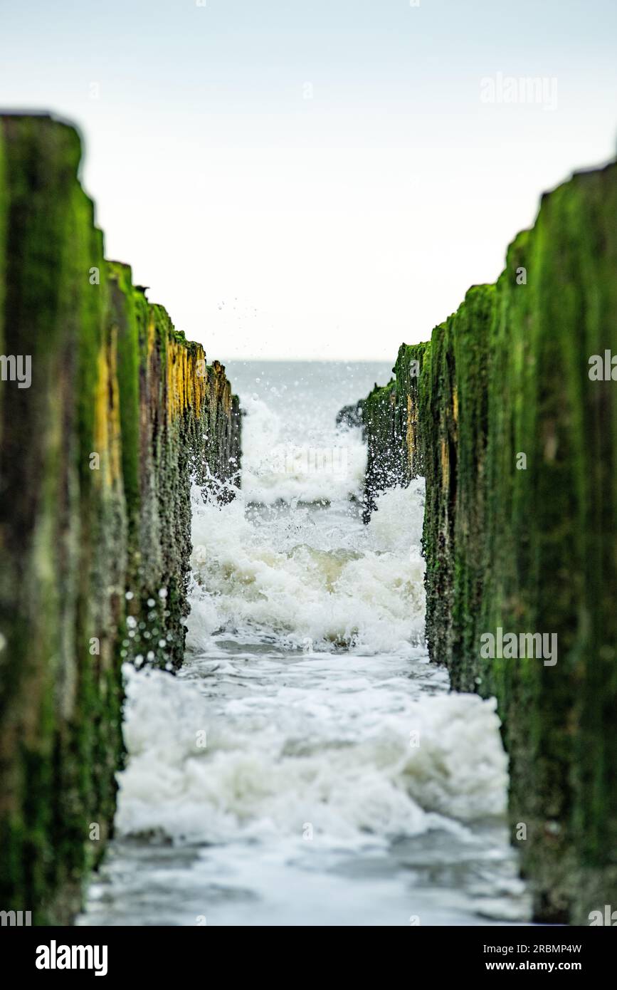 A row of wavebreakers in the North Sea in Knokke, Belgium Stock Photo ...