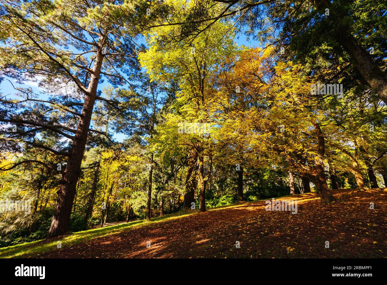 Wombat hill gardens hi-res stock photography and images - Alamy