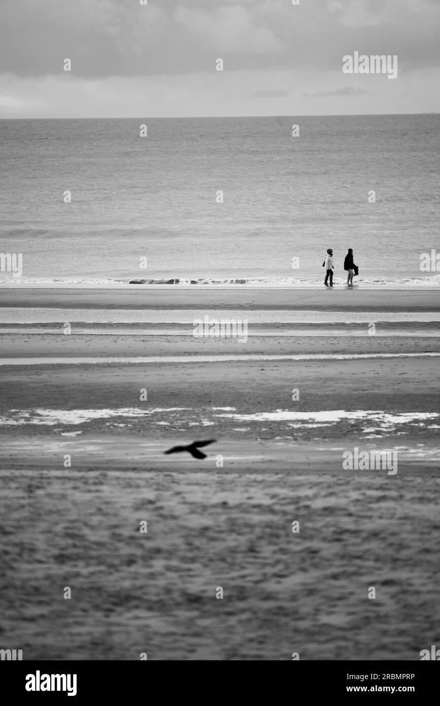 Flying across image Black and White Stock Photos & Images - Alamy
