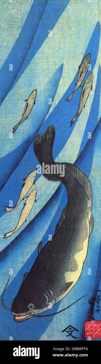 Catfish japan hi-res stock photography and images - Alamy