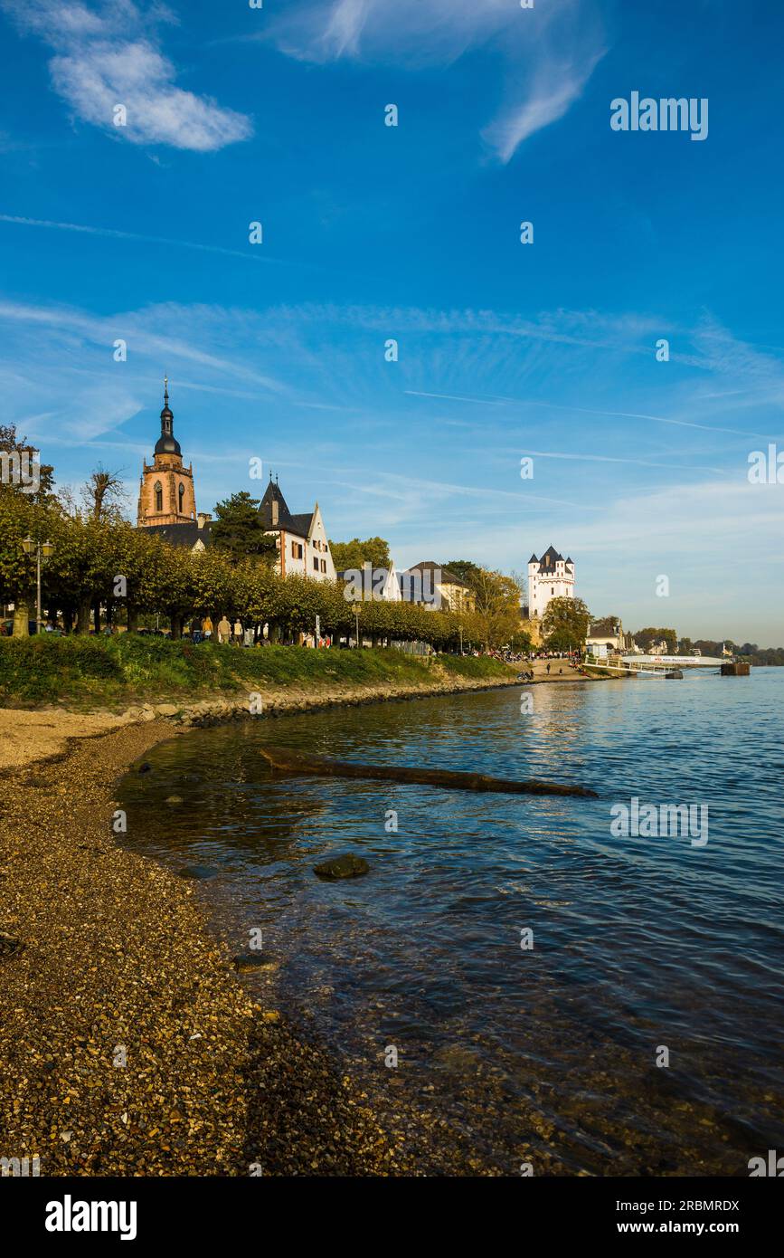 Germany rheingau eltville river rhine hi-res stock photography and ...