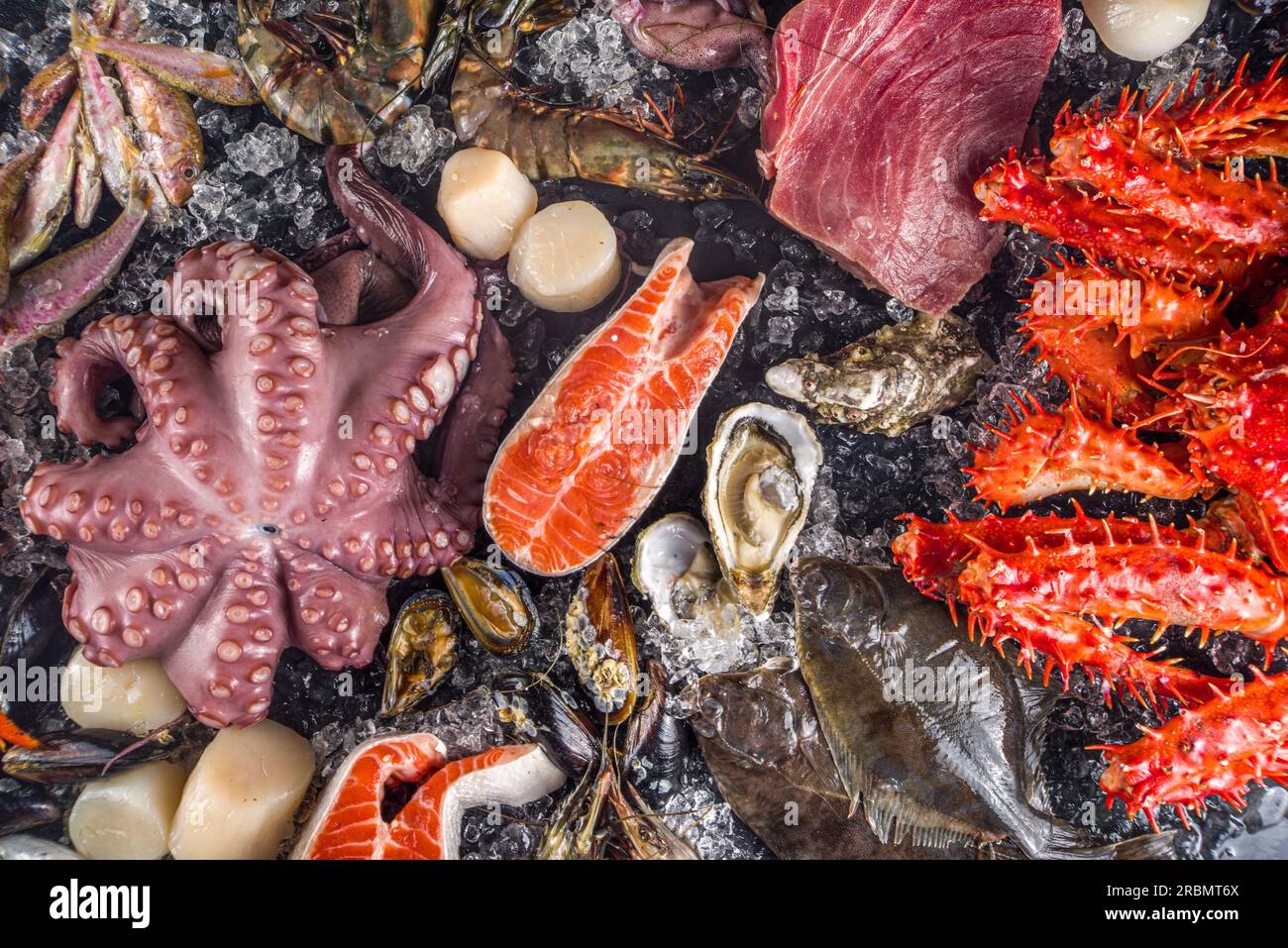 Set of various fresh raw seafood - octopus, crab, squid, shrimp prawn ...