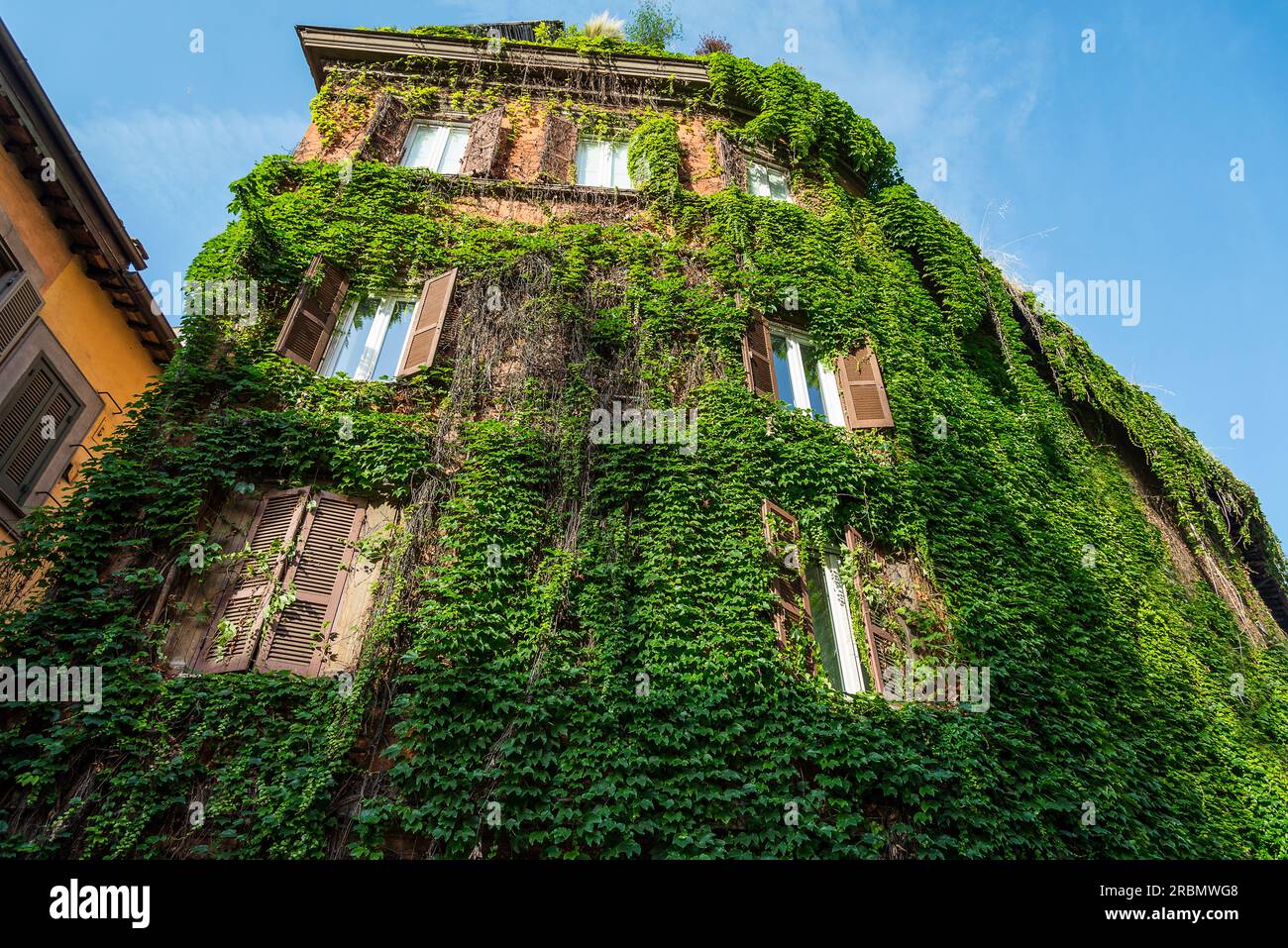 An apartment building Grown With Ivy Stock Photo - Alamy