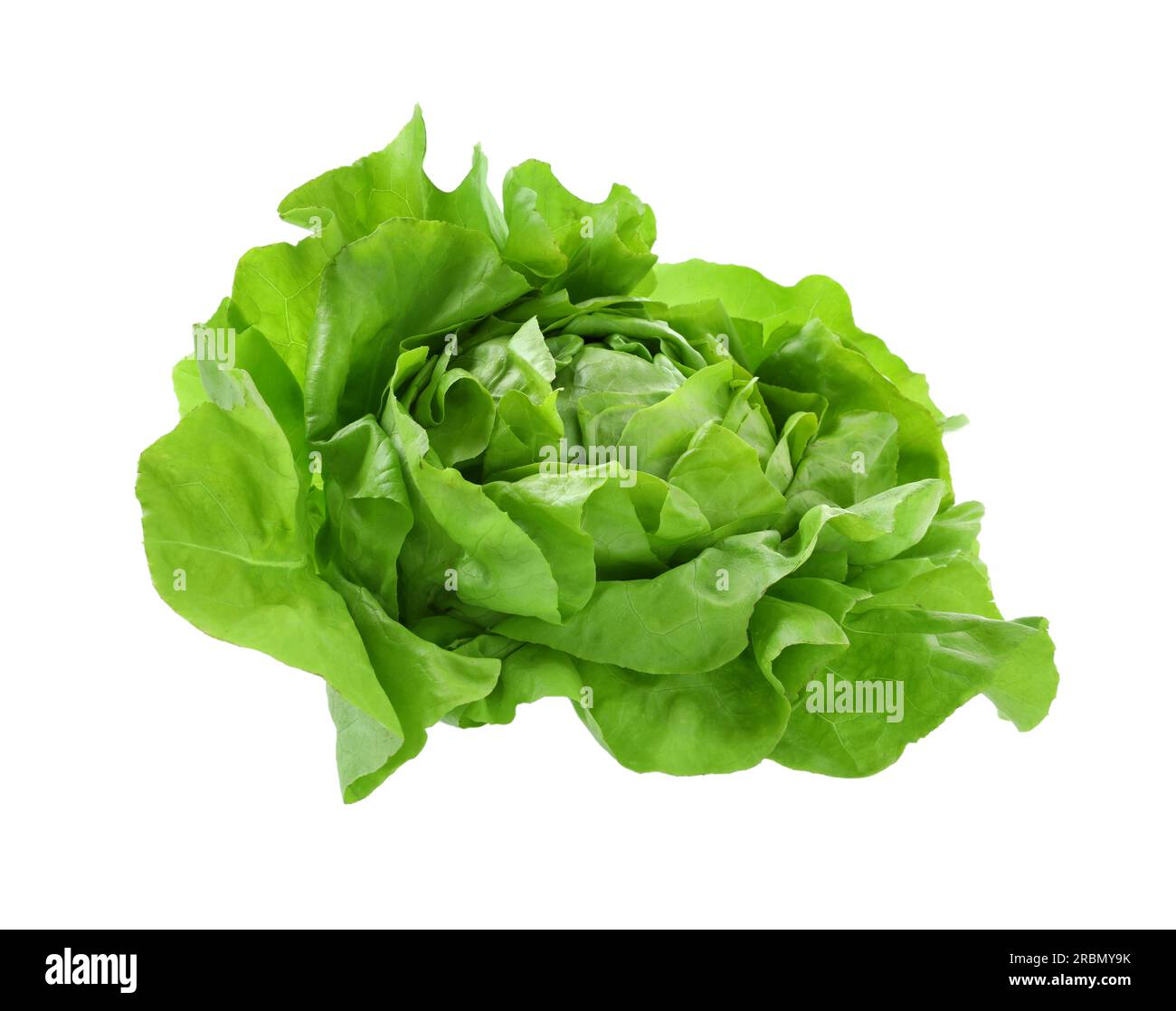 Fresh green butter lettuce head isolated on white Stock Photo - Alamy