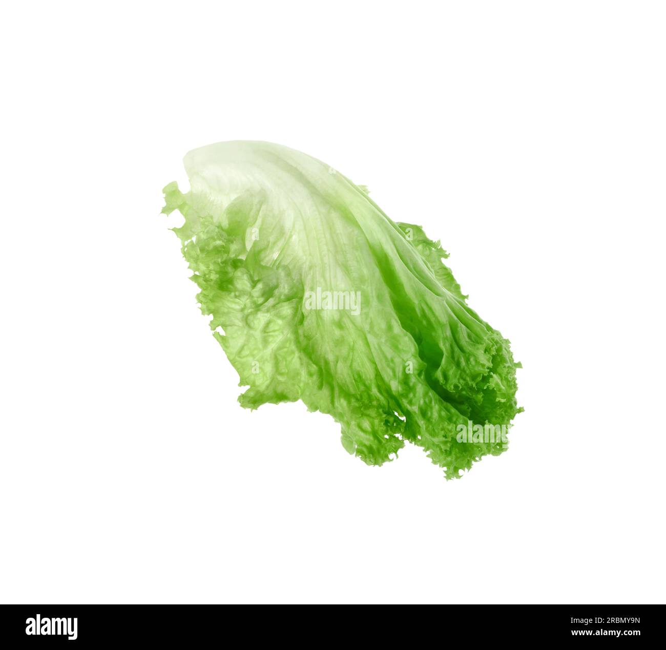 One green lettuce leaf isolated on white. Salad greens Stock Photo - Alamy