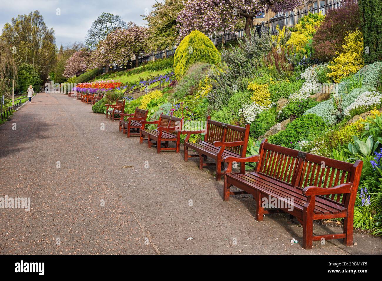 Spring in the Princes Street Gardens, alley with benches and blooming ...