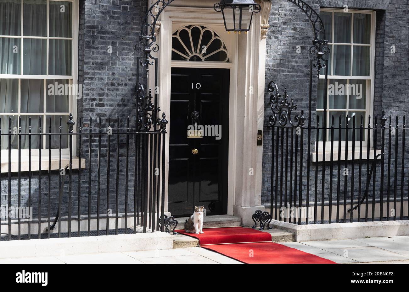 London, UK. 10 July, 2023. Larry the Cat, resident feline of No 10 ...