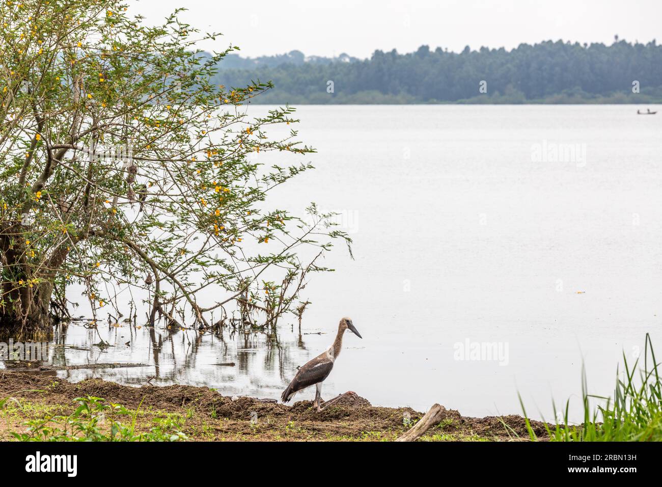 Victoria lake reserve hi-res stock photography and images - Alamy