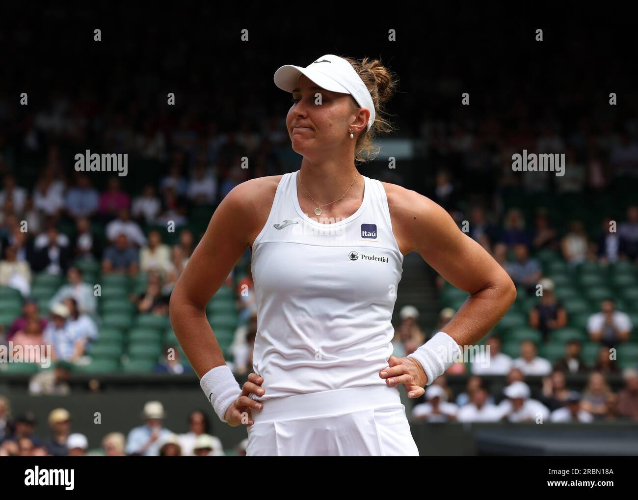 Withdraws from wimbledon hi-res stock photography and images - Alamy