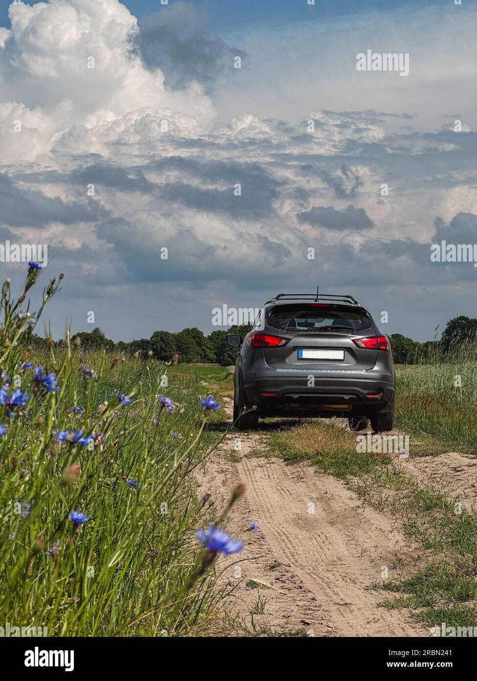 suv car on trail road in field Stock Photo - Alamy