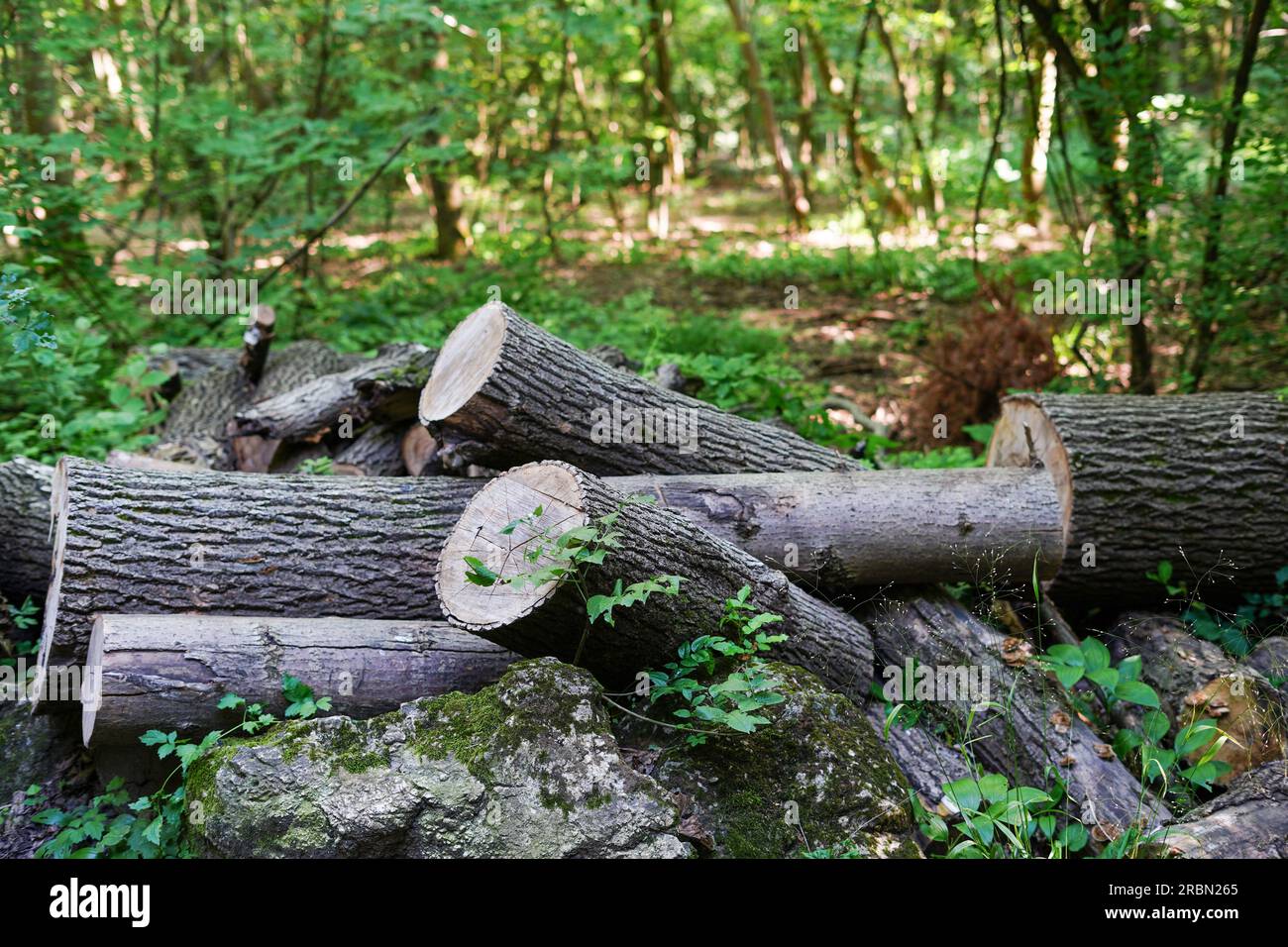 Ecological issues hi-res stock photography and images - Alamy