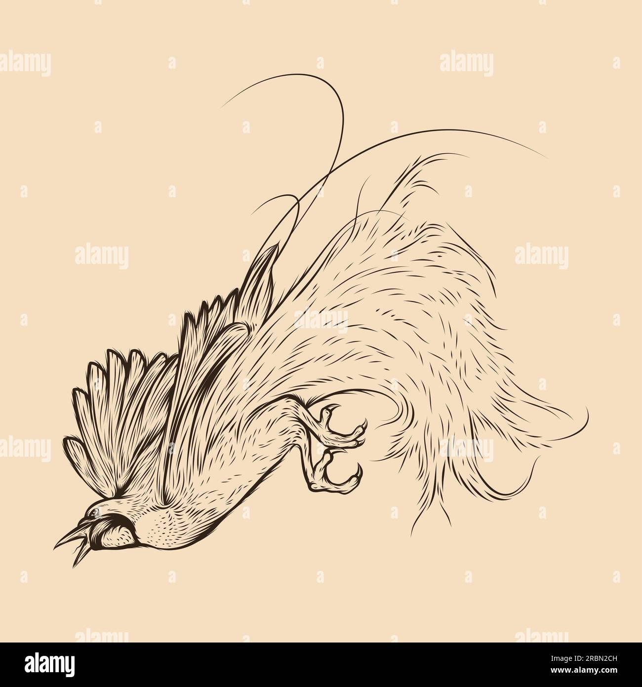 Flying Bird Of Paradise Animal