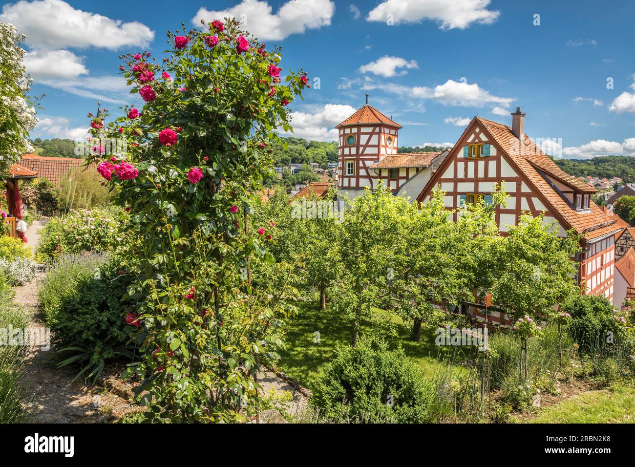 Romschlossle hi-res stock photography and images - Alamy