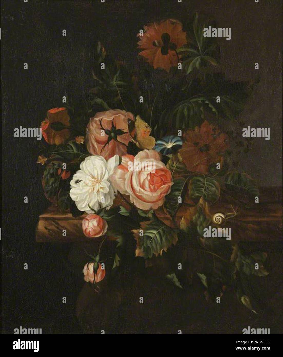 Roses and Poppies and a Snail 1675 by Willem van Aelst Stock Photo - Alamy