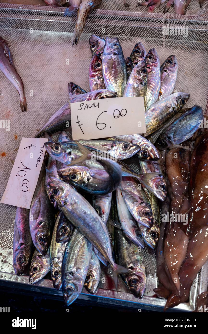 Fresh fish sold at an Italian market with sauri (translation: mackerel ...