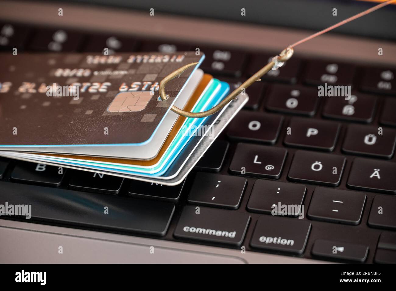 Visualisation of phishing and online fraud by a phished credit card on ...