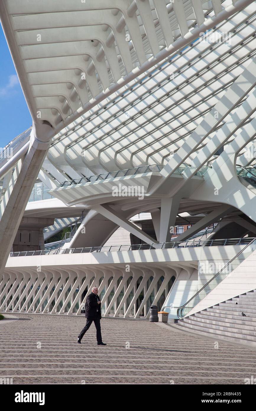 Liège-Guillemins railway station, Belgium, Liège Stock Photo - Alamy