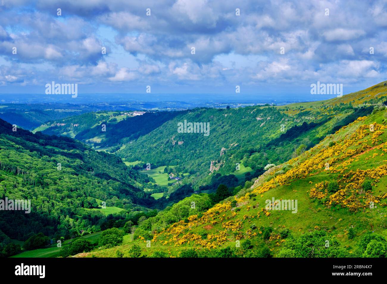 France, Cantal, Auvergne Volcanoes Regional Natural Park, Salers ...