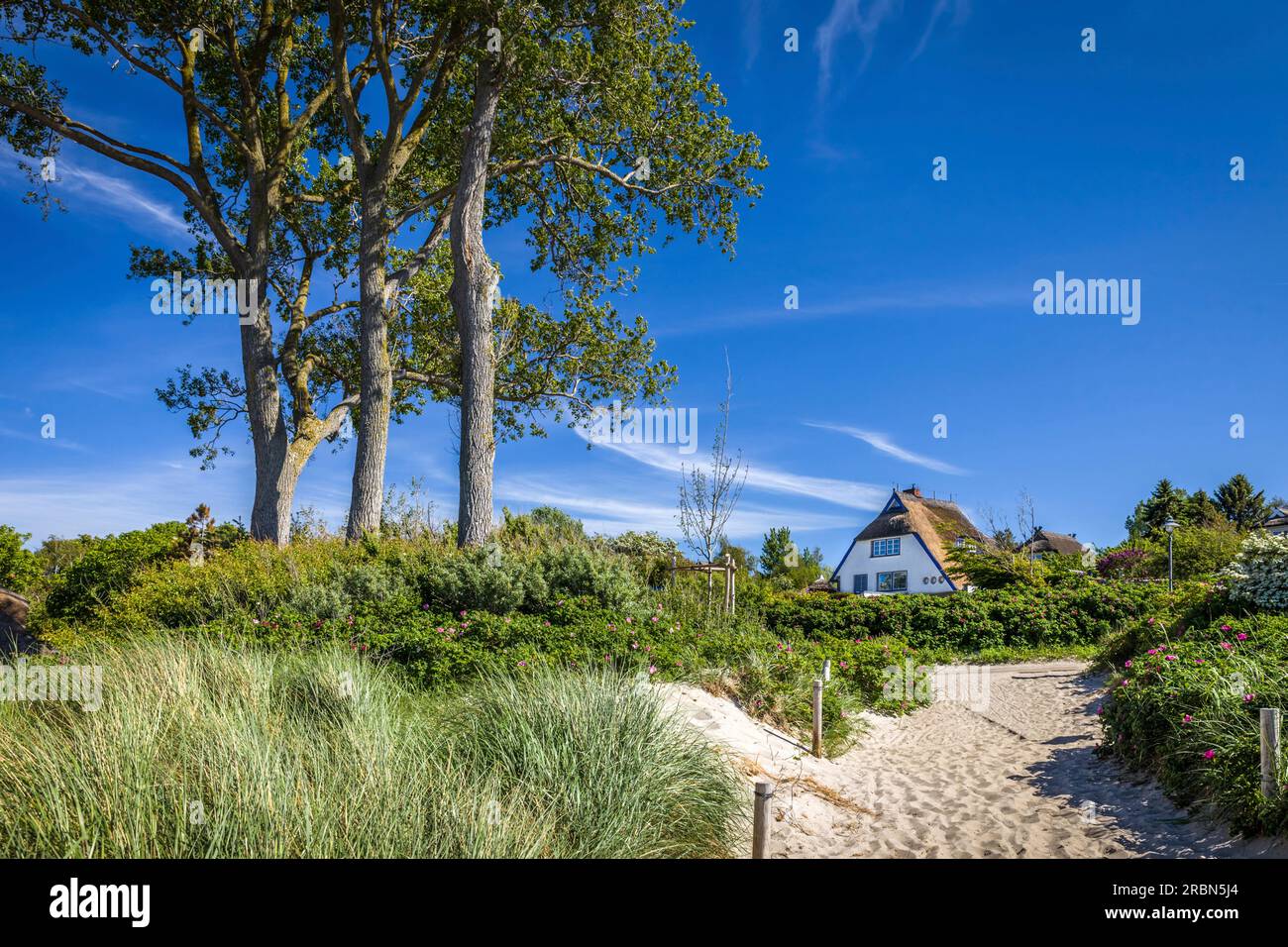 Beach and Deichhaus in Ahrenshoop, Mecklenburg-West Pomerania, Northern ...
