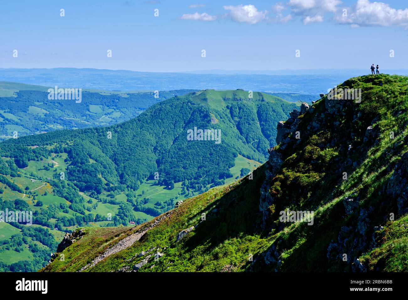 France, Cantal (15), Volcans d'Auvergne regional natural park, Cantal mountains, hike to Puy ...