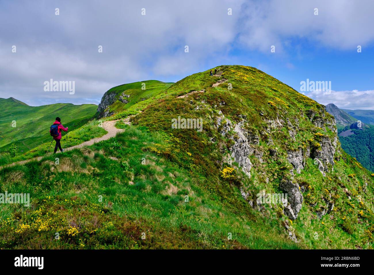 France, Cantal (15), Volcans d'Auvergne regional natural park, Cantal mountains, hike to Puy ...