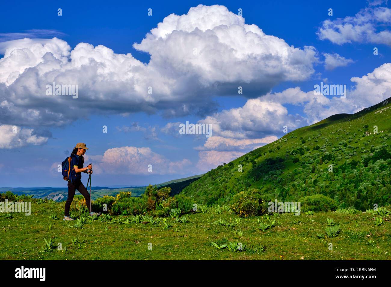 France, Cantal (15), Volcans d'Auvergne regional natural park, Cantal mountains, hike to Puy ...