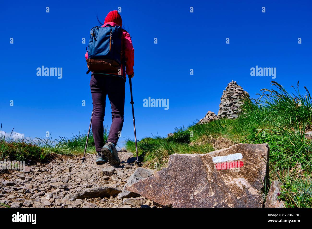France, Cantal (15), Volcans d'Auvergne regional natural park, Cantal mountains, hike to Puy ...