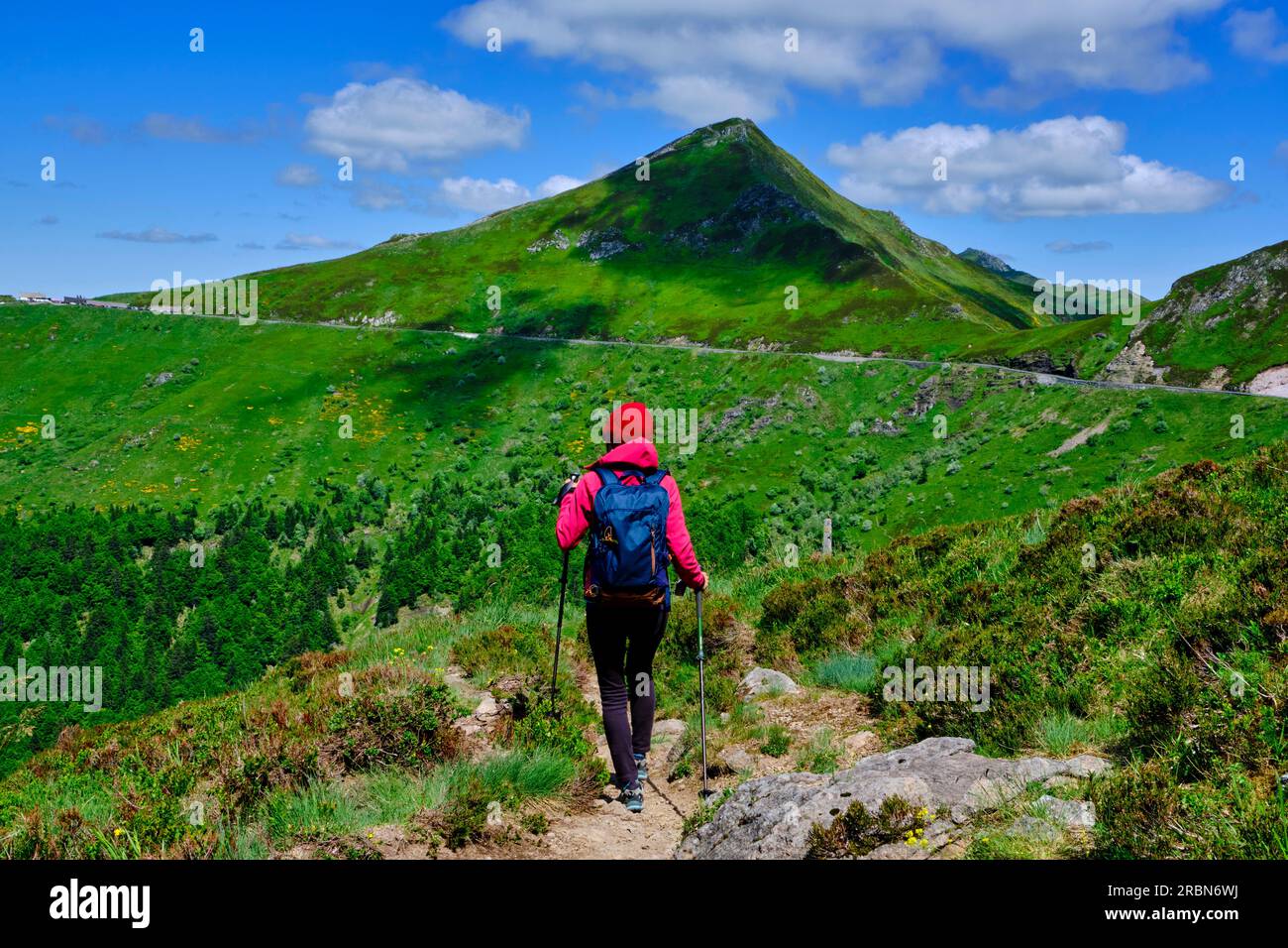 France, Cantal (15), Volcans d'Auvergne regional natural park, Cantal mountains, hike to Puy ...