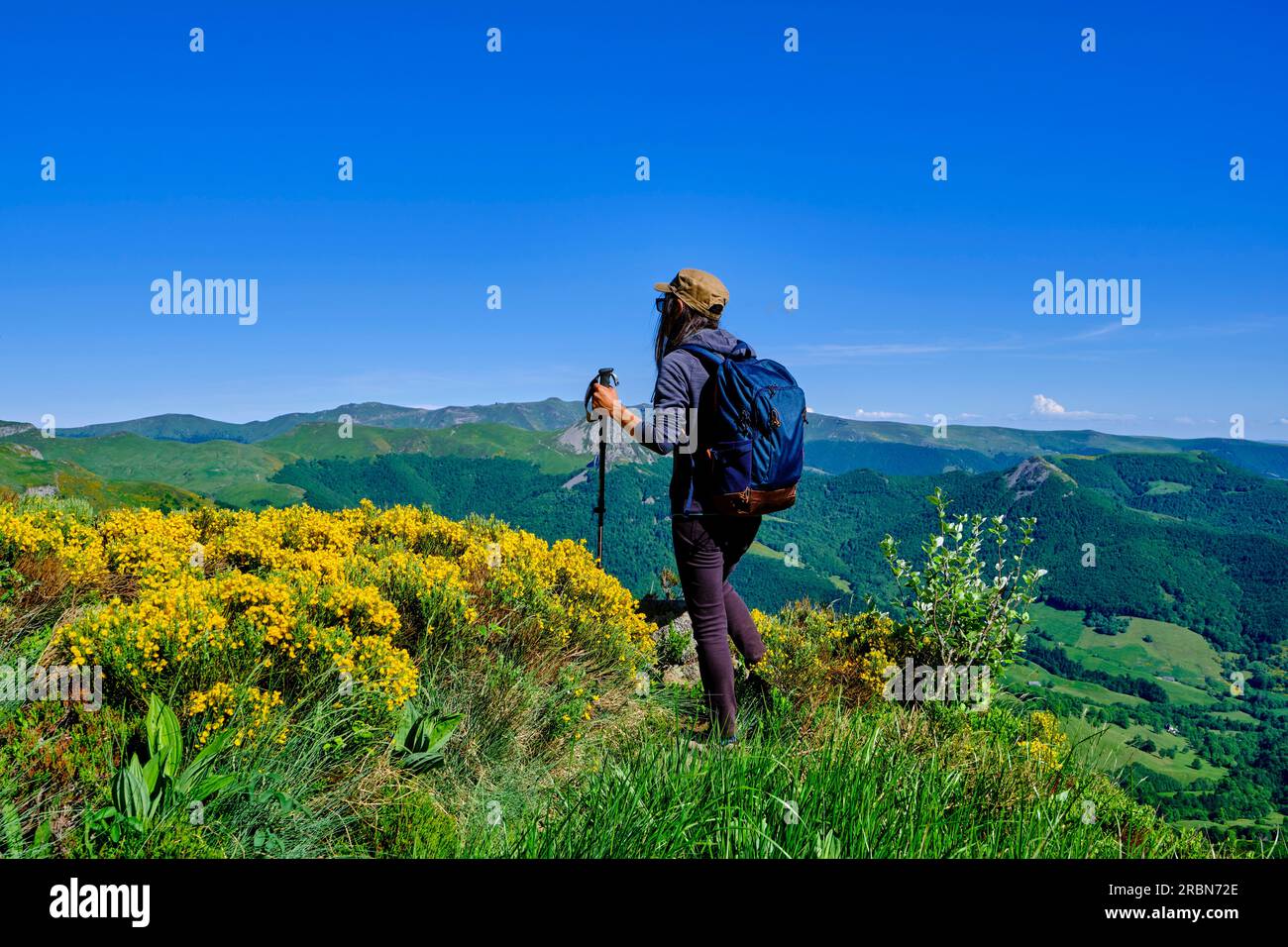 France, Cantal (15), Volcans d'Auvergne regional natural park, Cantal mountains, hike to Puy ...