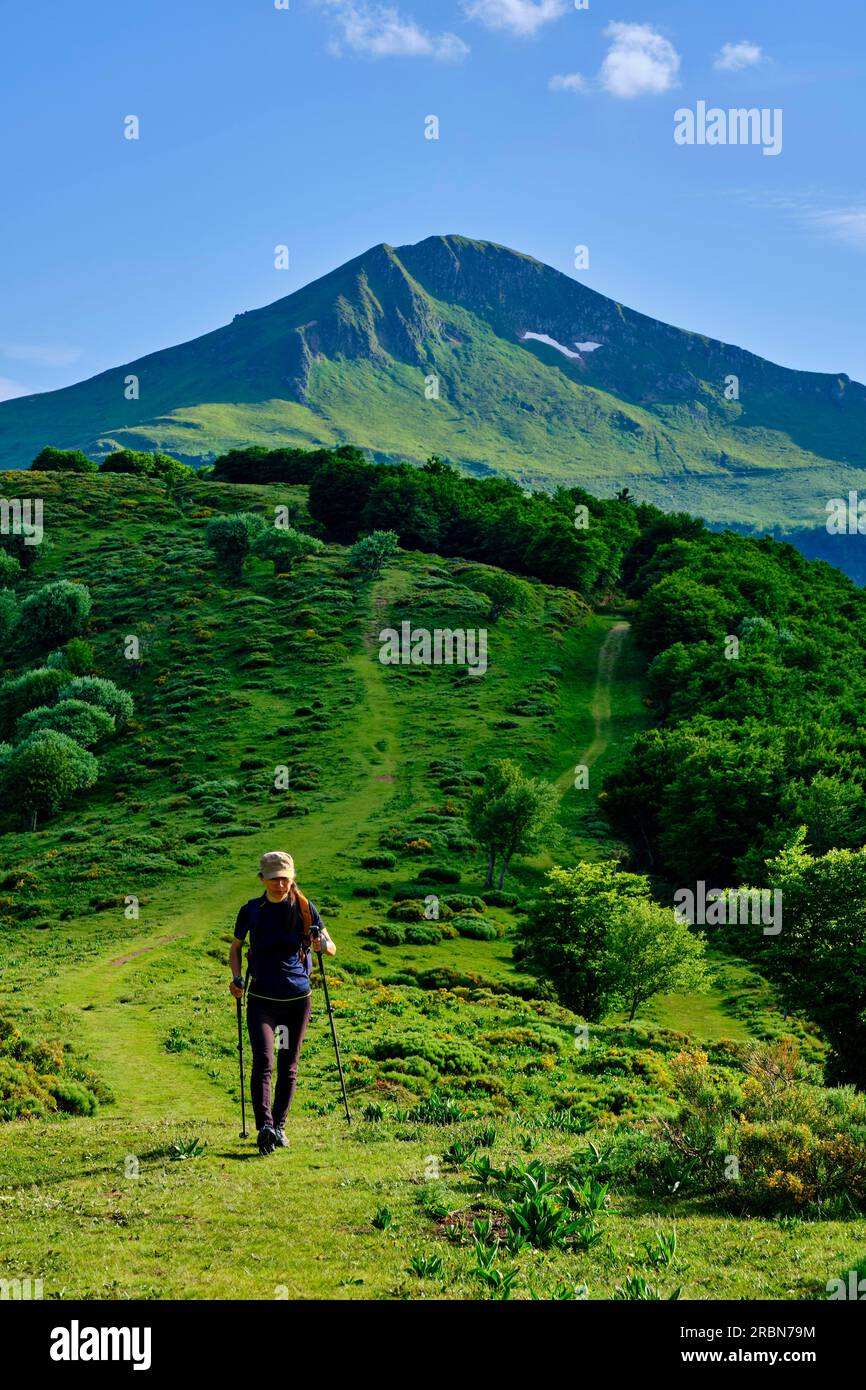 France, Cantal (15), Volcans d'Auvergne regional natural park, Cantal mountains, hike to Puy ...