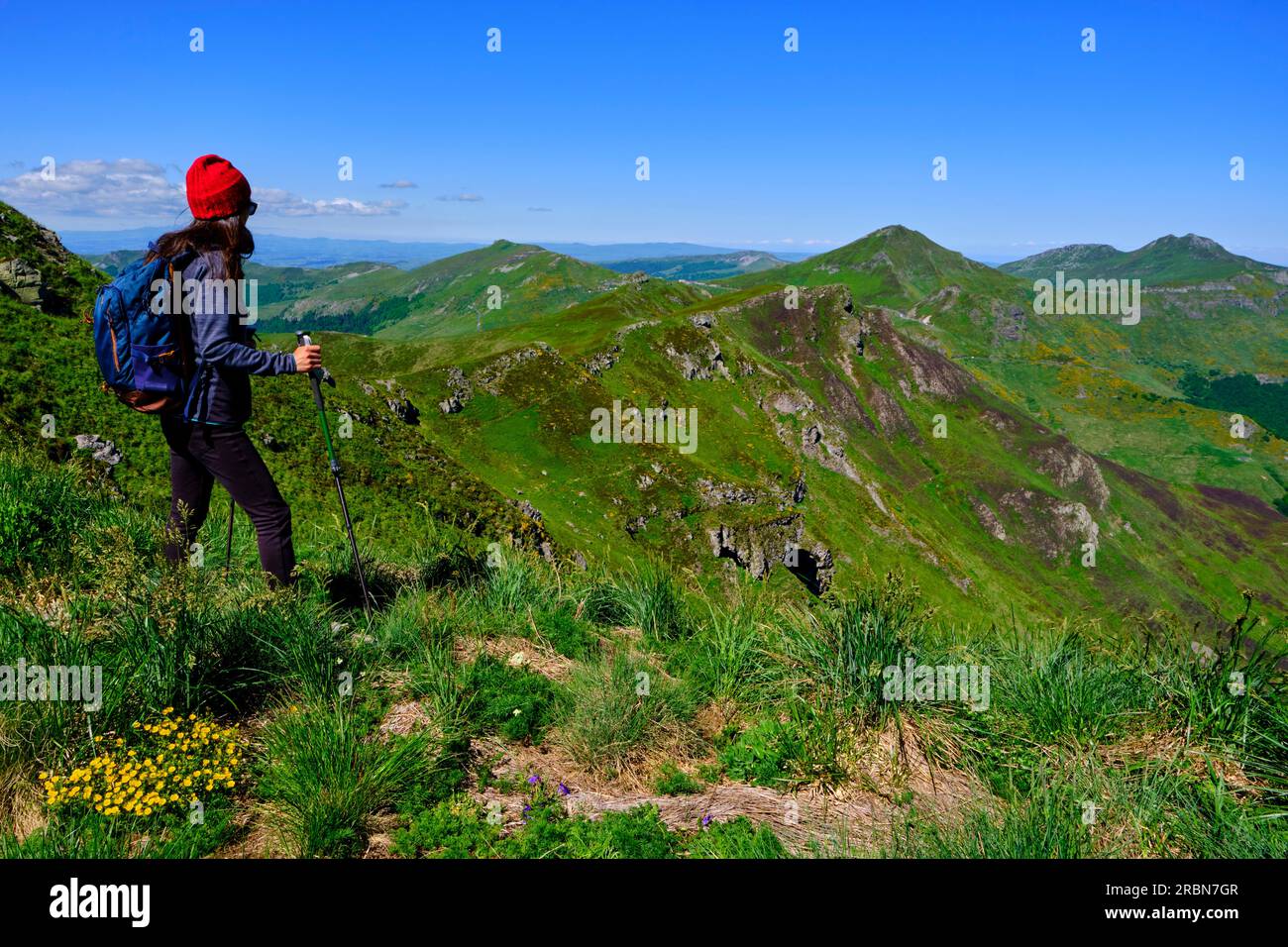 France, Cantal (15), Volcans d'Auvergne regional natural park, Cantal mountains, hike to Puy ...