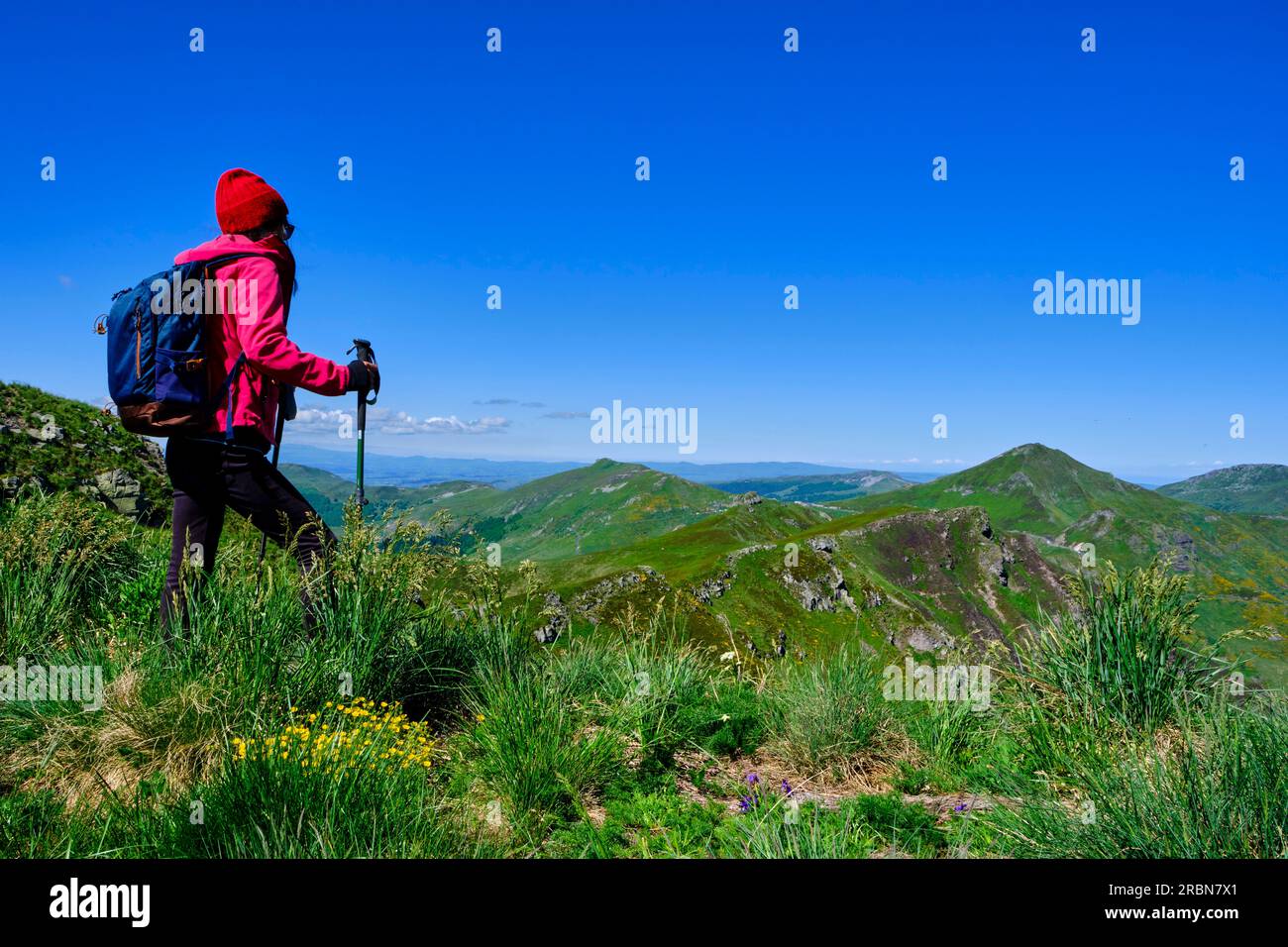 France, Cantal (15), Volcans d'Auvergne regional natural park, Cantal mountains, hike to Puy ...