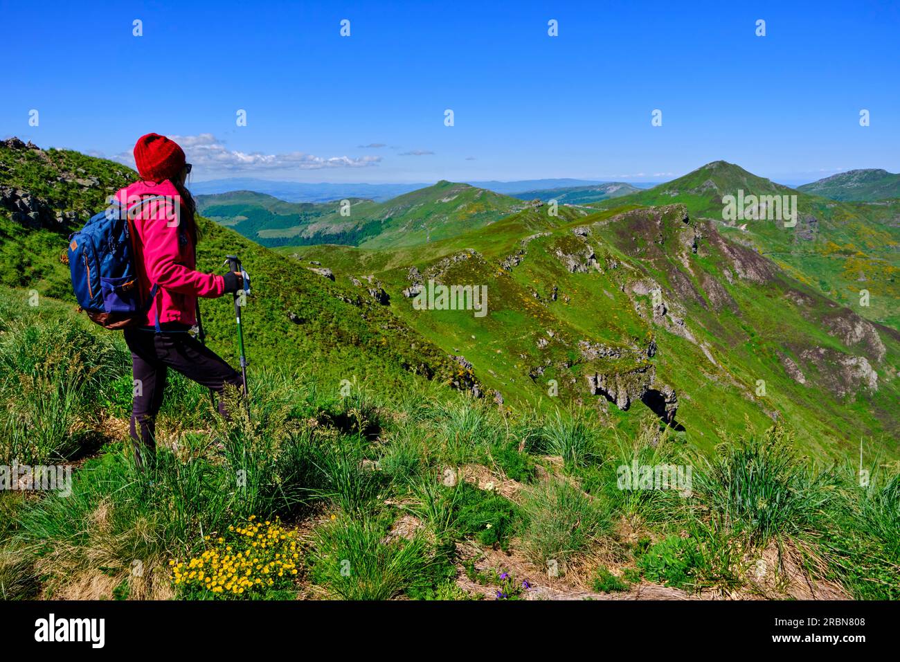France, Cantal (15), Volcans d'Auvergne regional natural park, Cantal mountains, hike to Puy ...