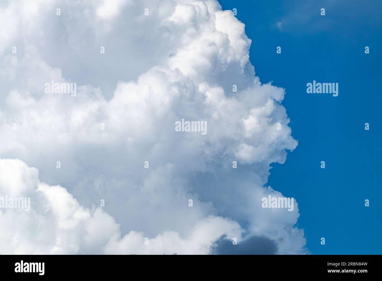 Fluffy white high clouds on vivid blue sky, cloudscape background. Skyscape nature scenery Stock ...
