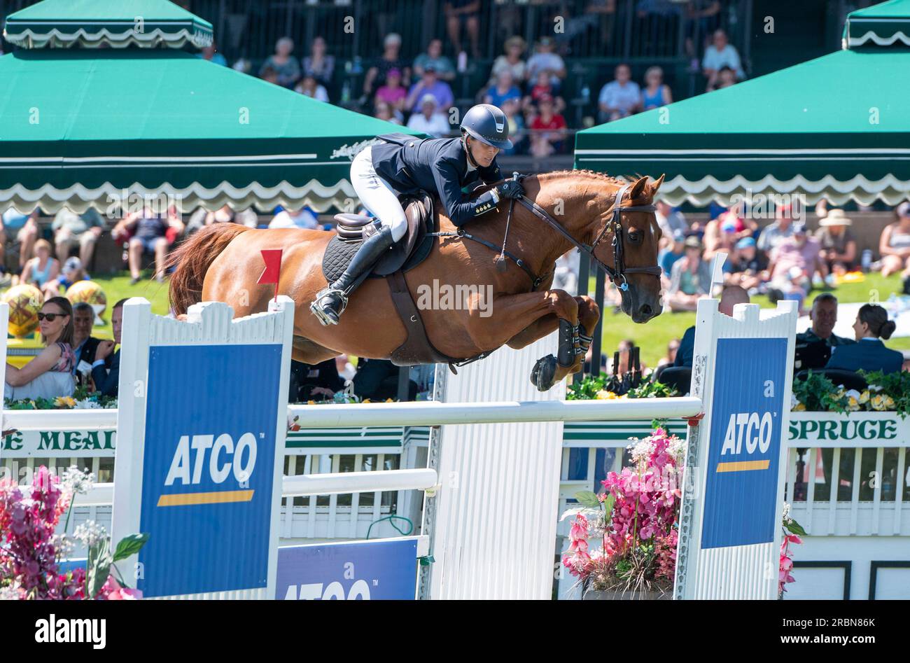 Cera ii hi-res stock photography and images - Alamy