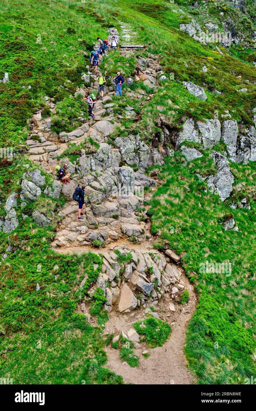 France, Cantal, Auvergne Volcanoes regional natural park, Cantal mountains, hike to Puy Mary ...