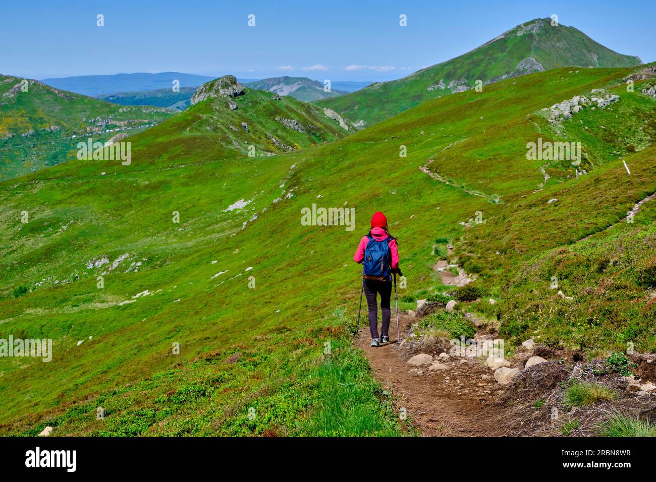 France, Cantal (15), Volcans d'Auvergne regional natural park, Cantal mountains, hike to Puy ...