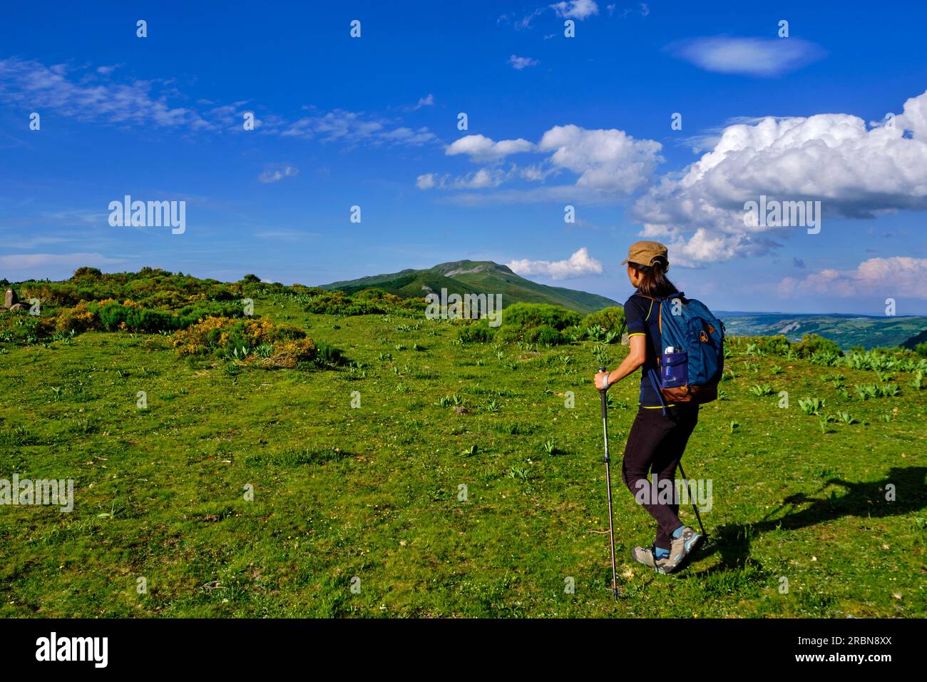 France, Cantal (15), Volcans d'Auvergne regional natural park, Cantal mountains, hike to Puy ...