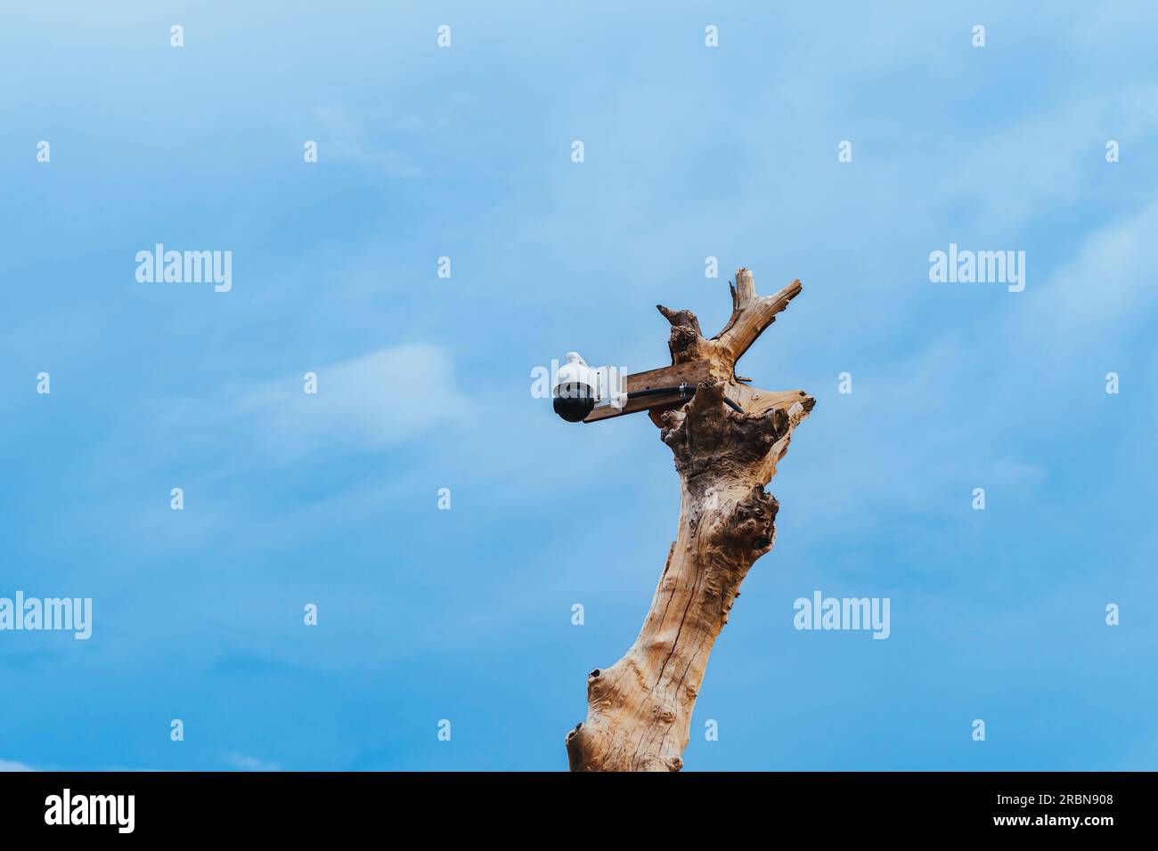 Closed circuit camera multi-angle CCTV system camera installed on dead ...