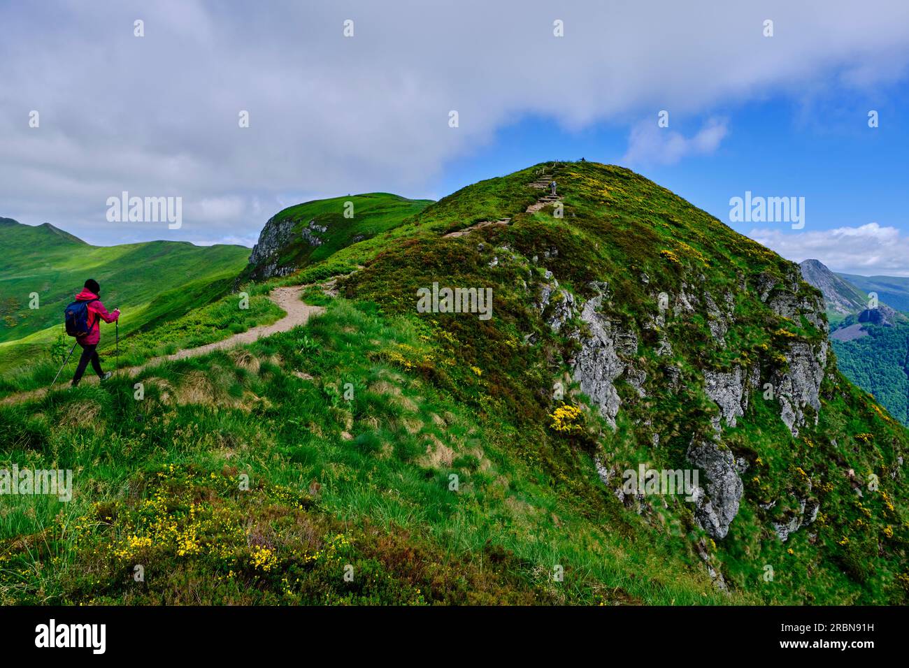France, Cantal (15), Volcans d'Auvergne regional natural park, Cantal mountains, hike to Puy ...