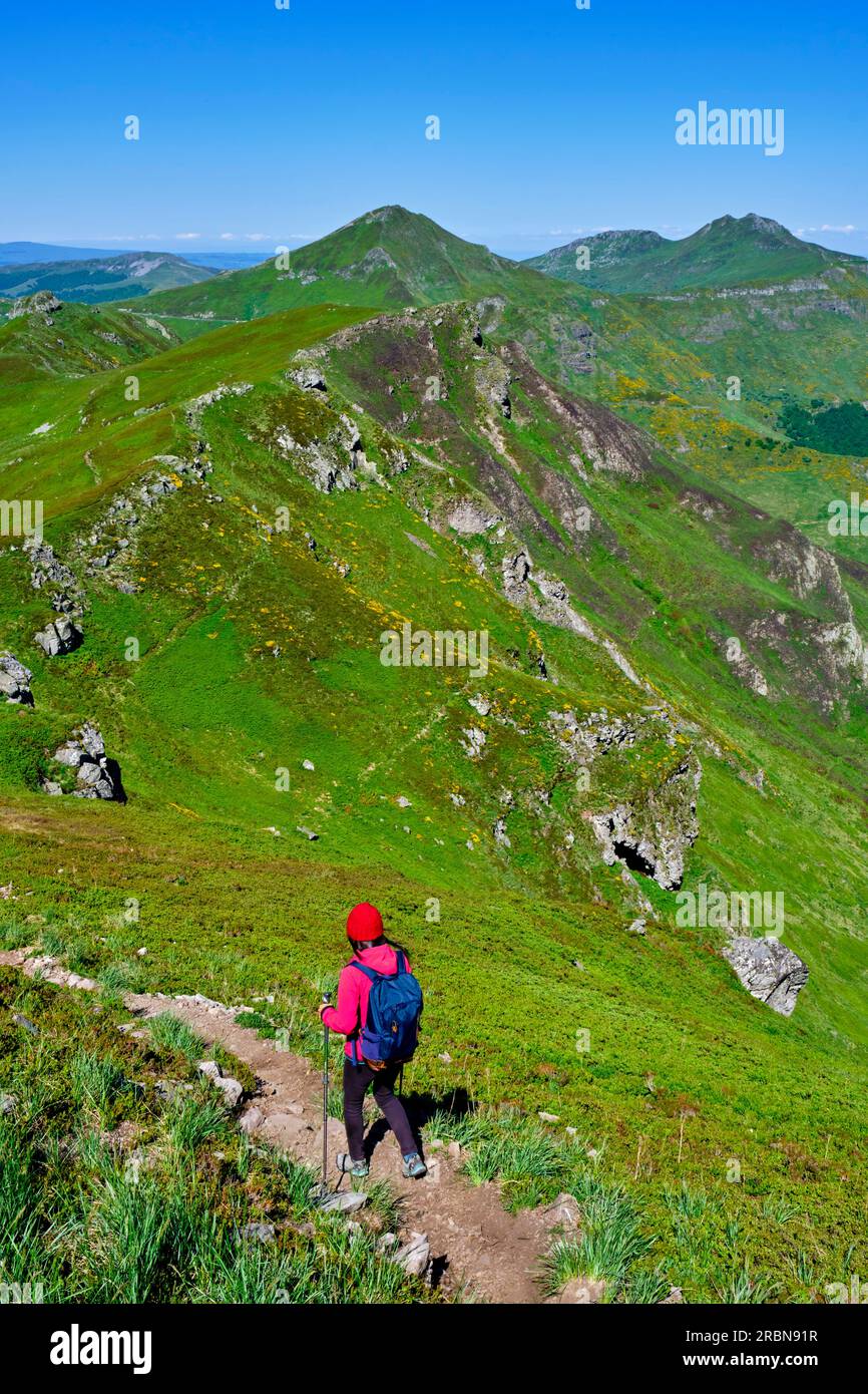 France, Cantal (15), Volcans d'Auvergne regional natural park, Cantal mountains, hike to Puy ...