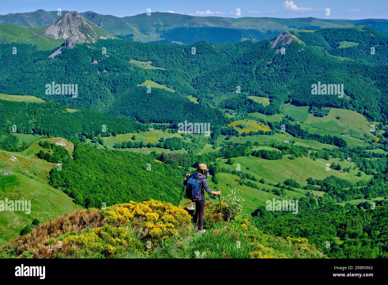 France, Cantal (15), Volcans d'Auvergne regional natural park, Cantal mountains, hike to Puy ...