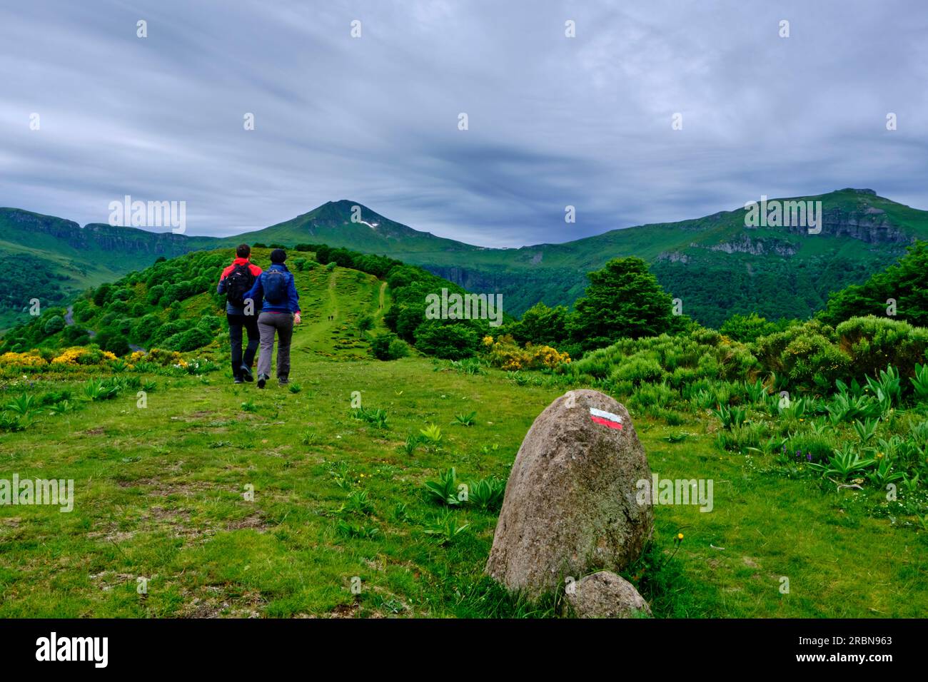 France, Cantal (15), Volcans d'Auvergne regional natural park, Cantal mountains, hike to Puy ...