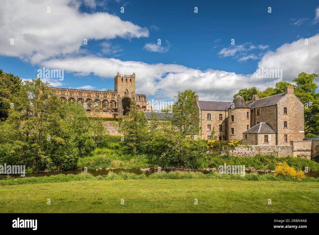 Ruins of Jedburgh Abbey on the River Jed Water, Jedburgh, Scottish ...
