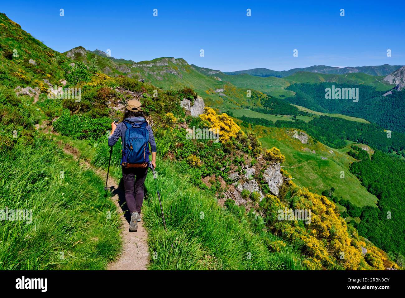 France, Cantal (15), Volcans d'Auvergne regional natural park, Cantal mountains, hike to Puy ...
