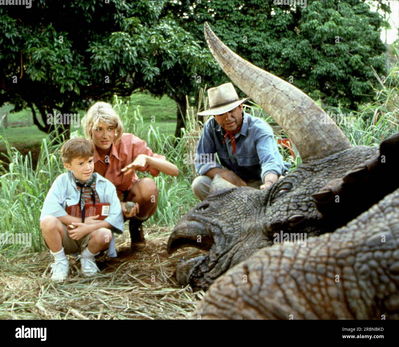 Jurassic park 1993 hi-res stock photography and images - Alamy