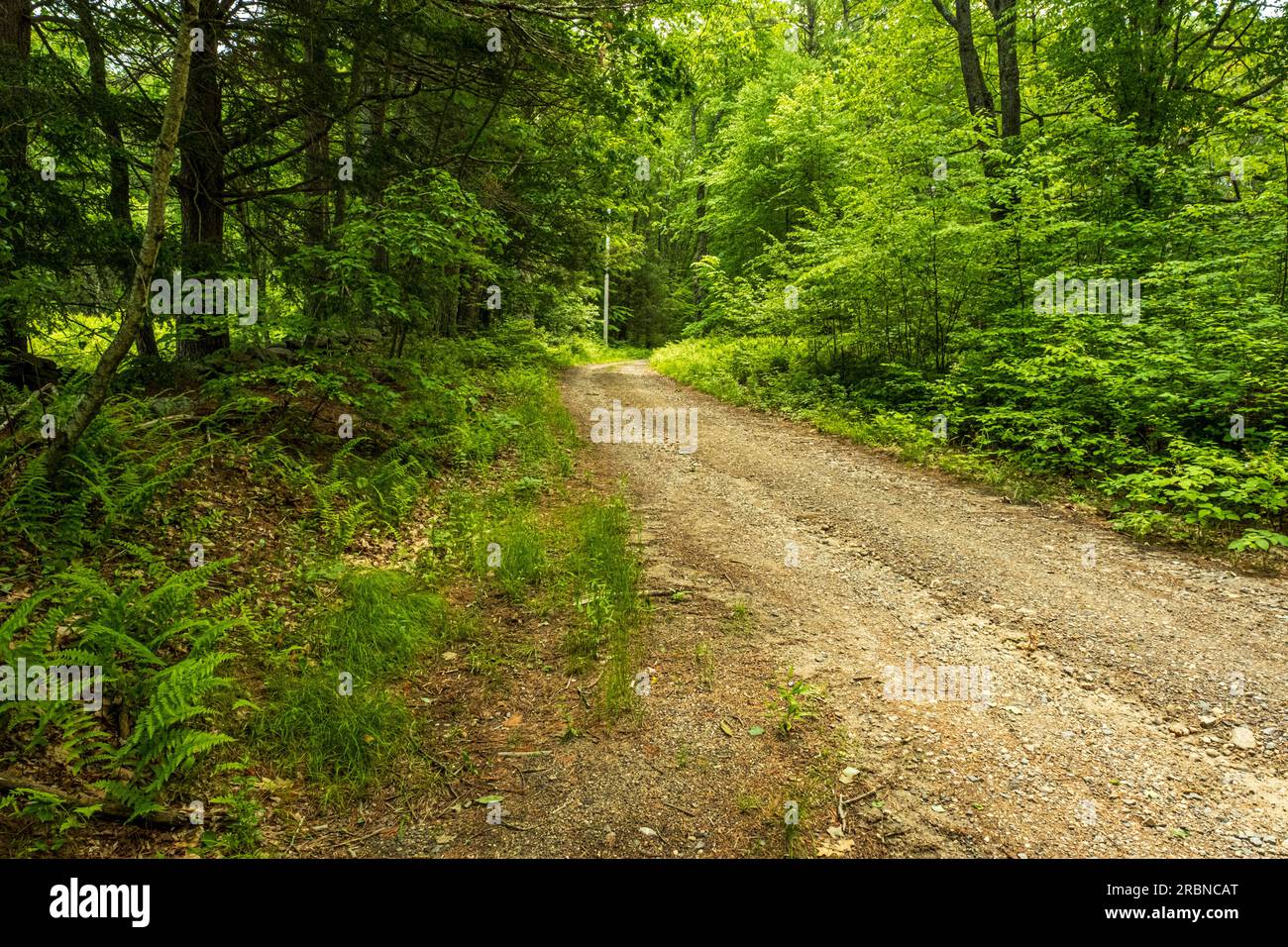 Rural new england hi-res stock photography and images - Alamy