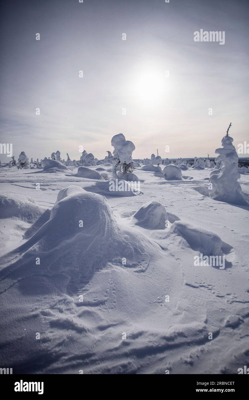 Salla in finland hi-res stock photography and images - Alamy